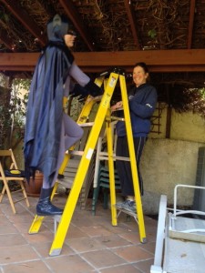 GOTHAM TRIBUNE: Behind the Bat-Scenes with Artist Ruben Procopio | 13th ...