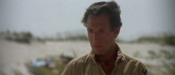 REEL RETRO CINEMA: Jaws 2 | 13th Dimension, Comics, Creators, Culture