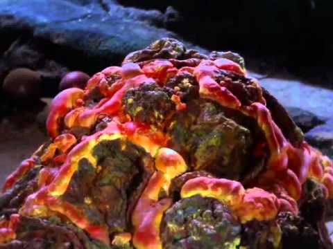 The STAR TREK Top 13 Episode Countdown: #7 | 13th Dimension, Comics ...