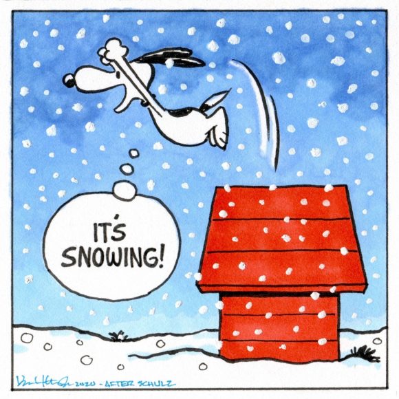 13 Great PEANUTS PANELS: A CHARLES SCHULZ Birthday Celebration | 13th ...