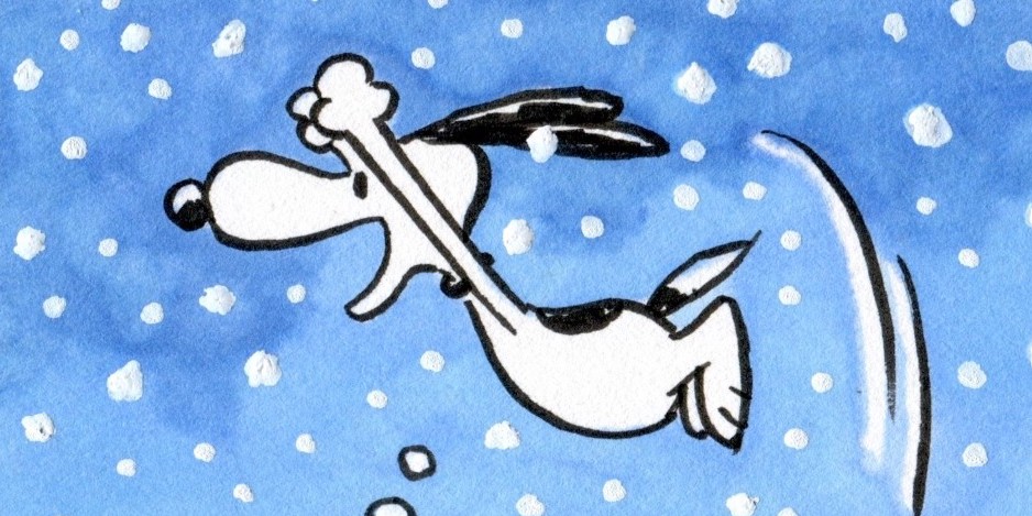 13 Great PEANUTS PANELS: A CHARLES SCHULZ Birthday Celebration | 13th ...