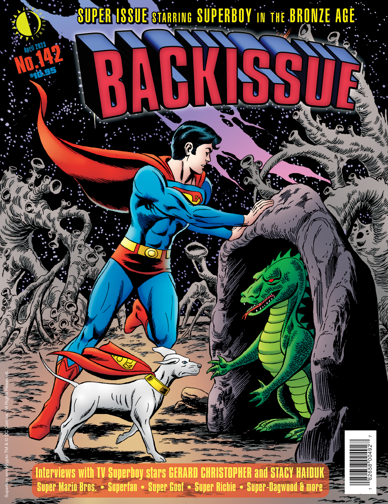 SUPERBOY, SPIDEY and DAREDEVIL Lead Parade of Upcoming BACK ISSUE Mags ...