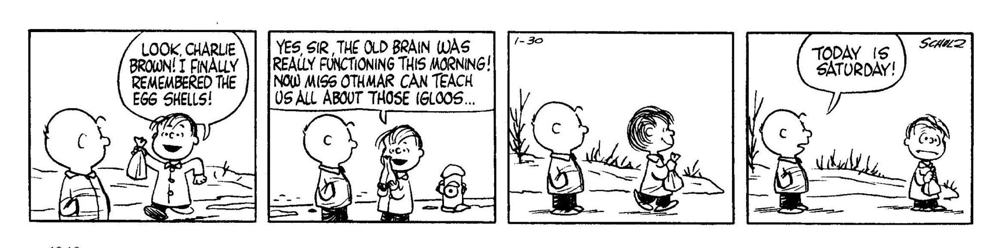 13 Great PEANUTS Storylines: A CHARLES M. SCHULZ Birthday Celebration ...