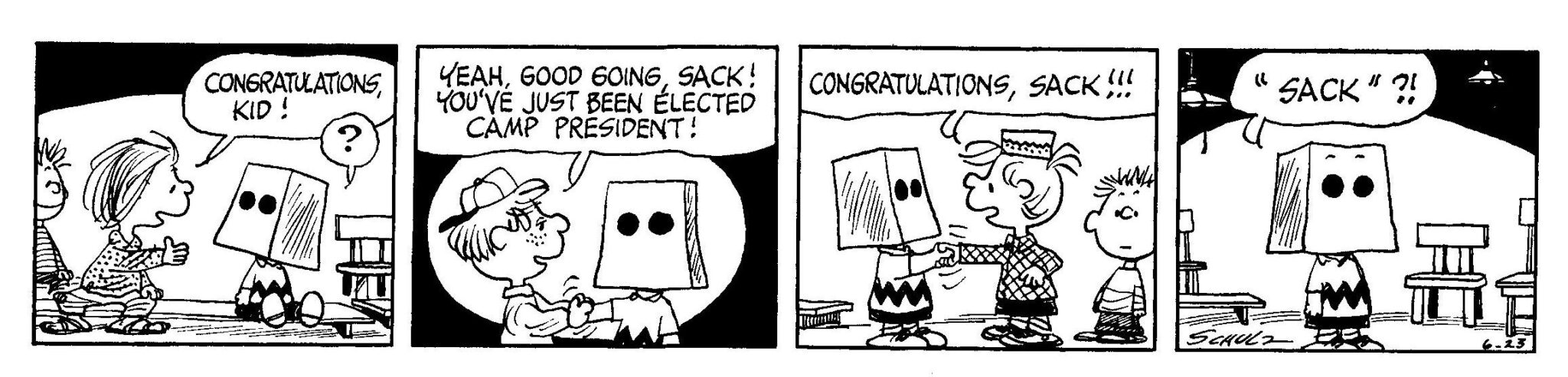 13 Great PEANUTS Storylines: A CHARLES M. SCHULZ Birthday Celebration | 13th Dimension, Comics ...