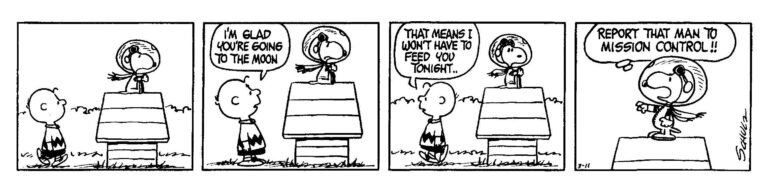 13 Great PEANUTS Storylines: A CHARLES M. SCHULZ Birthday Celebration ...