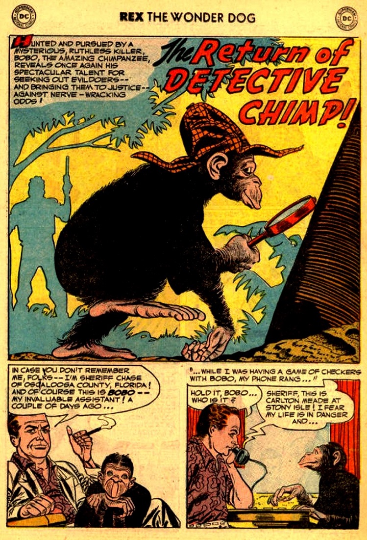 13 Classic DC COMICS Characters Co-Created by JOHN BROOME | 13th ...