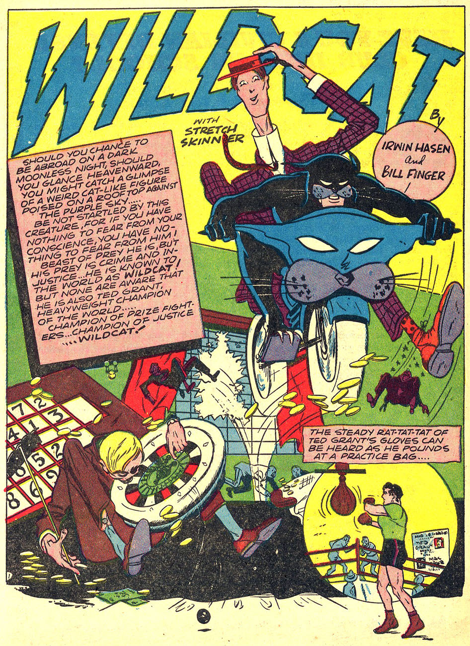 13 Punchy WILDCAT SPLASH PAGES: An IRWIN HASEN Birthday Salute | 13th ...