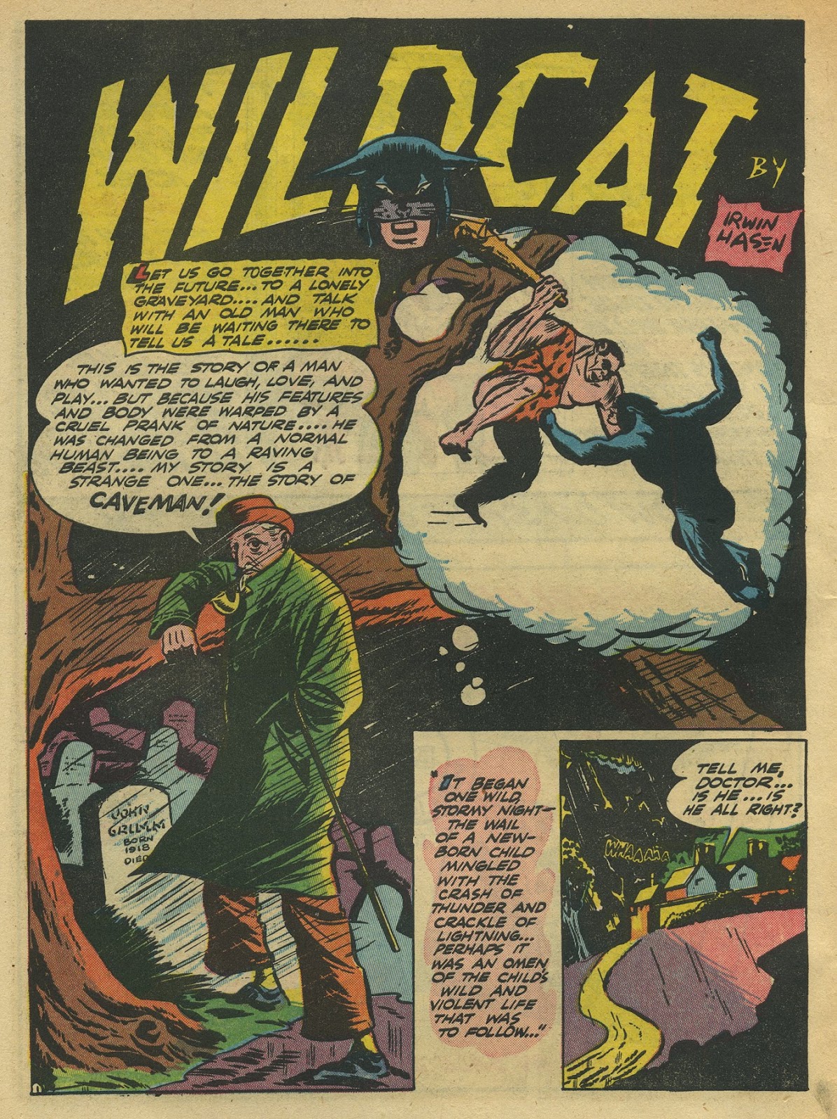 13 Punchy WILDCAT SPLASH PAGES: An IRWIN HASEN Birthday Salute | 13th ...