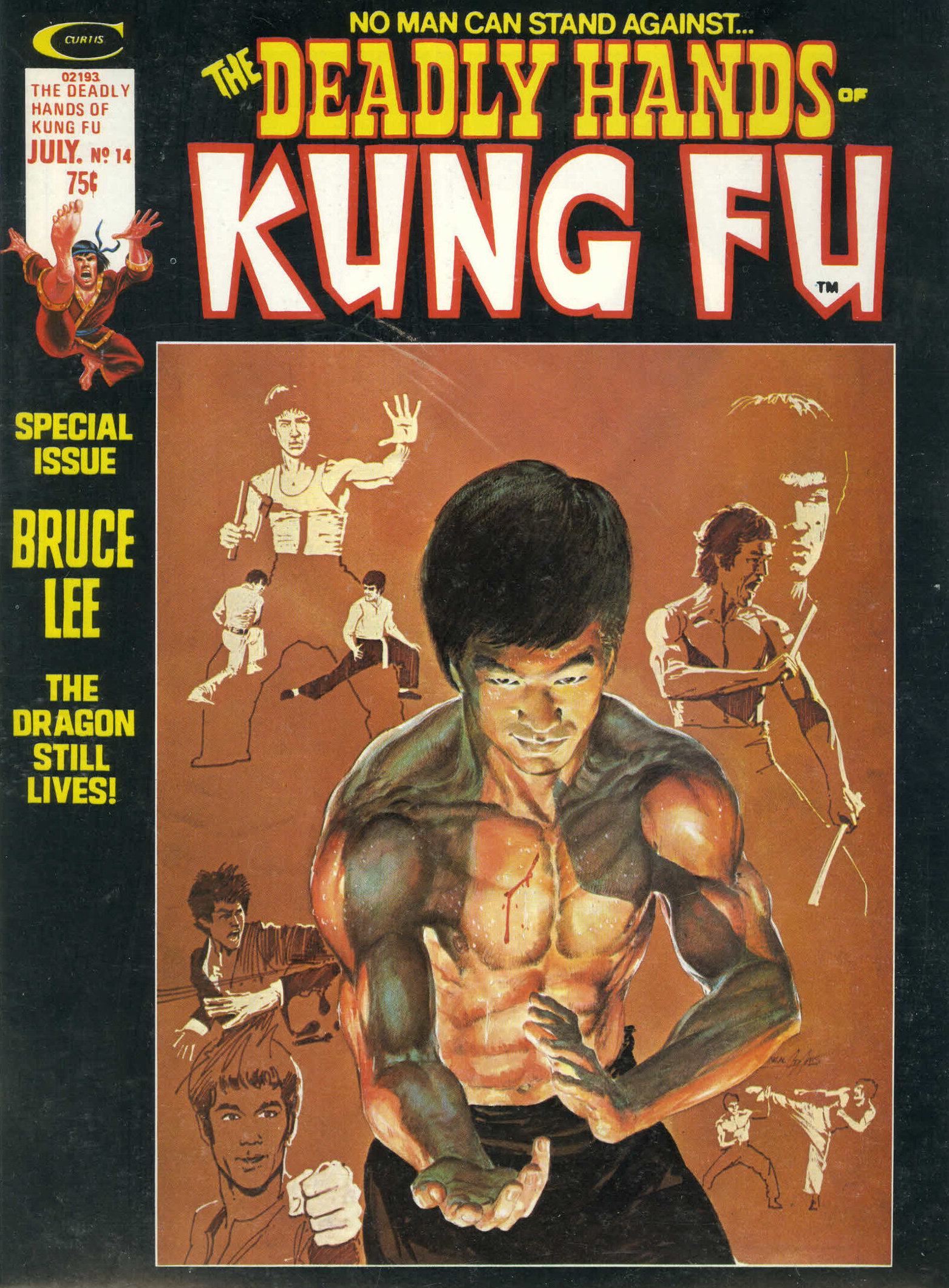 NEAL ADAMS’ BRUCE LEE: The Deadly Hands of Perfection | 13th Dimension ...