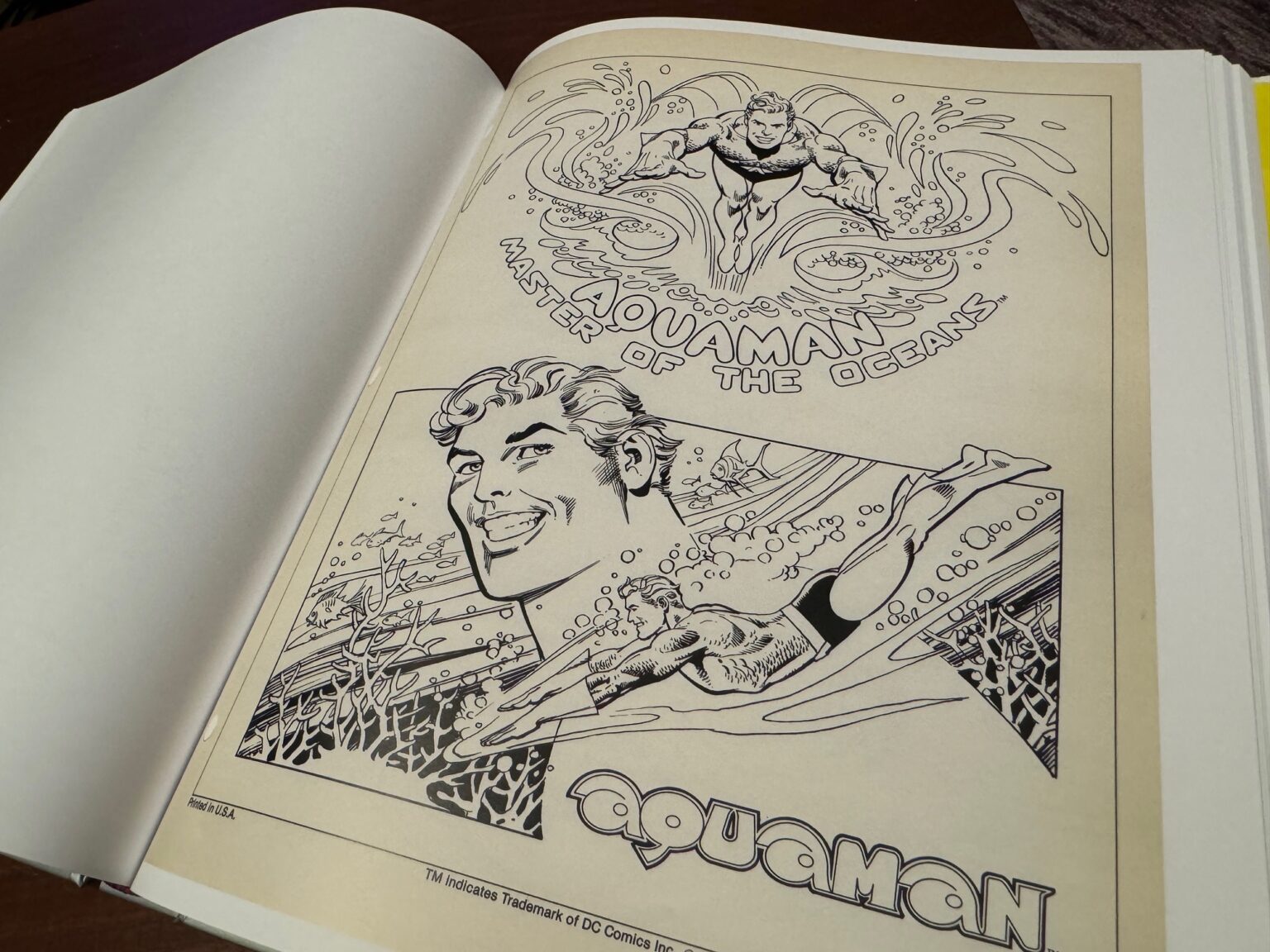 HERE IT IS! Your EXCLUSIVE FIRST LOOK at the 1982 DC COMICS STYLE GUIDE ...