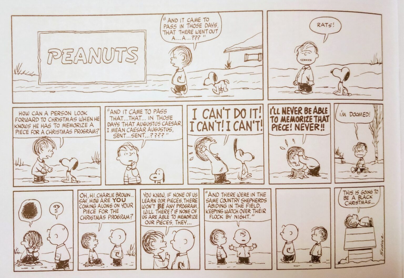 13 Life Lessons From LINUS VAN PELT | 13th Dimension, Comics, Creators ...