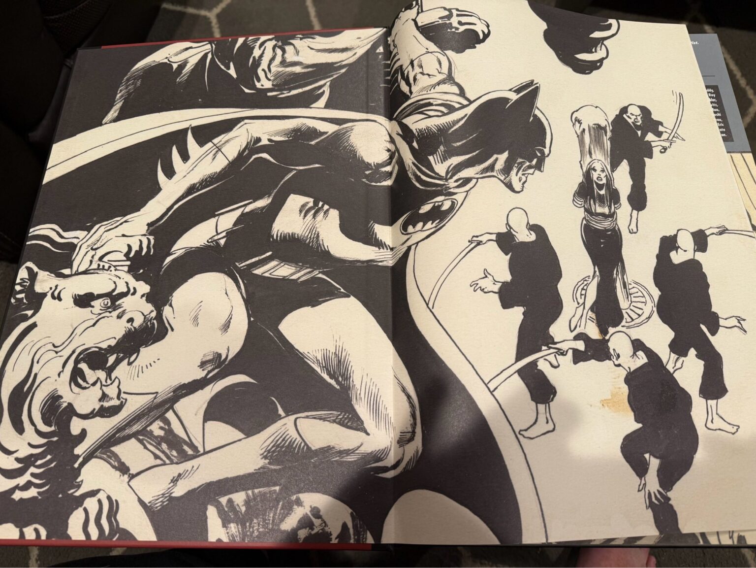 SNEAK PEEK: Inside the NEAL ADAMS DC CLASSICS ARTIST’S EDITION | 13th ...