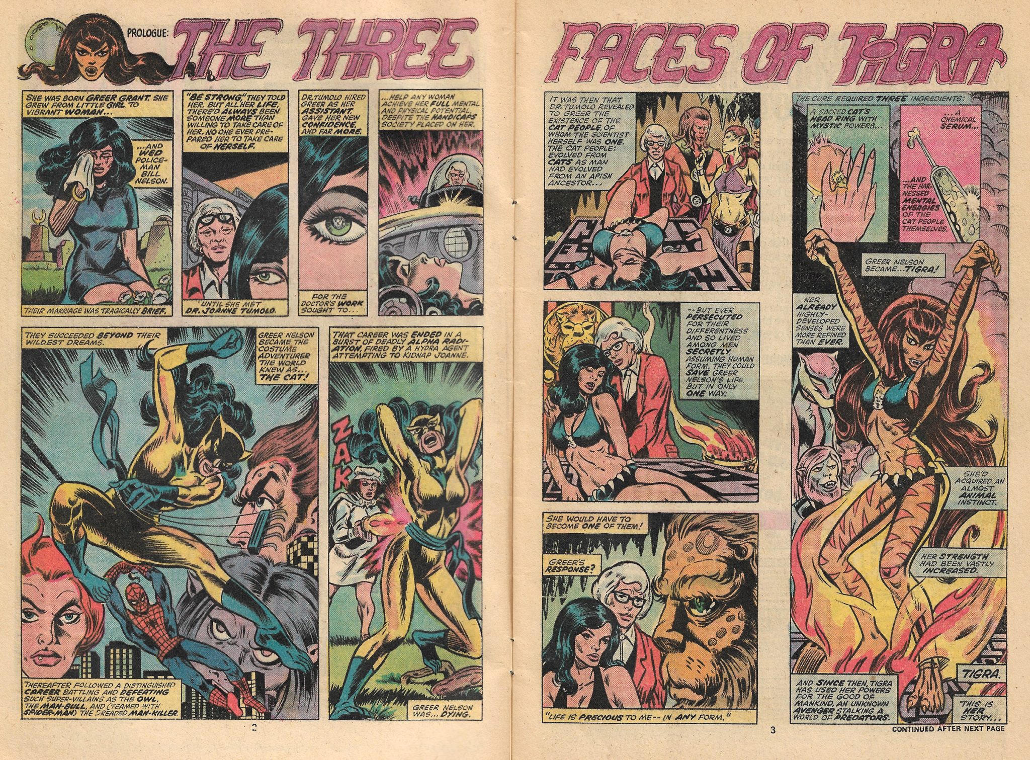 Why I Love TIGRA — and You Should Too | 13th Dimension, Comics ...