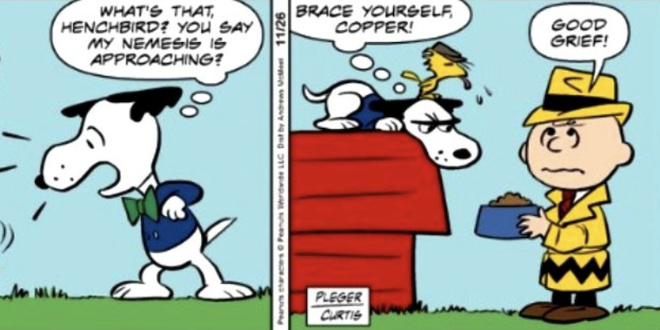 13 GREAT Comic Strips That Paid Tribute to PEANUTS | 13th Dimension ...
