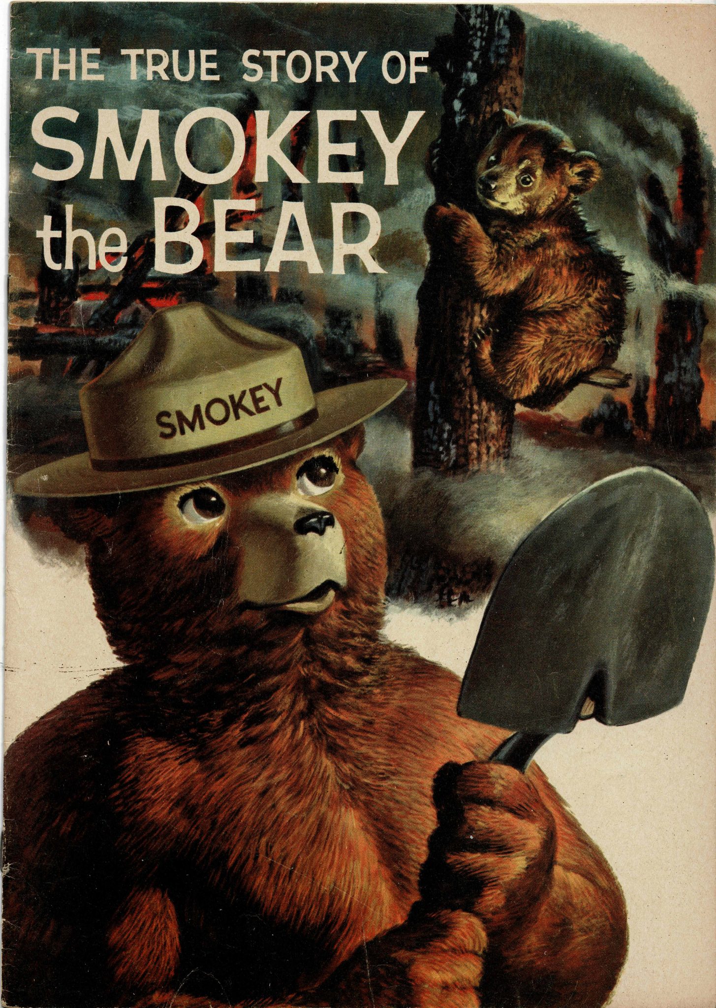 ODDBALL COMICS: When SMOKEY (the) BEAR Was Macho | 13th Dimension ...